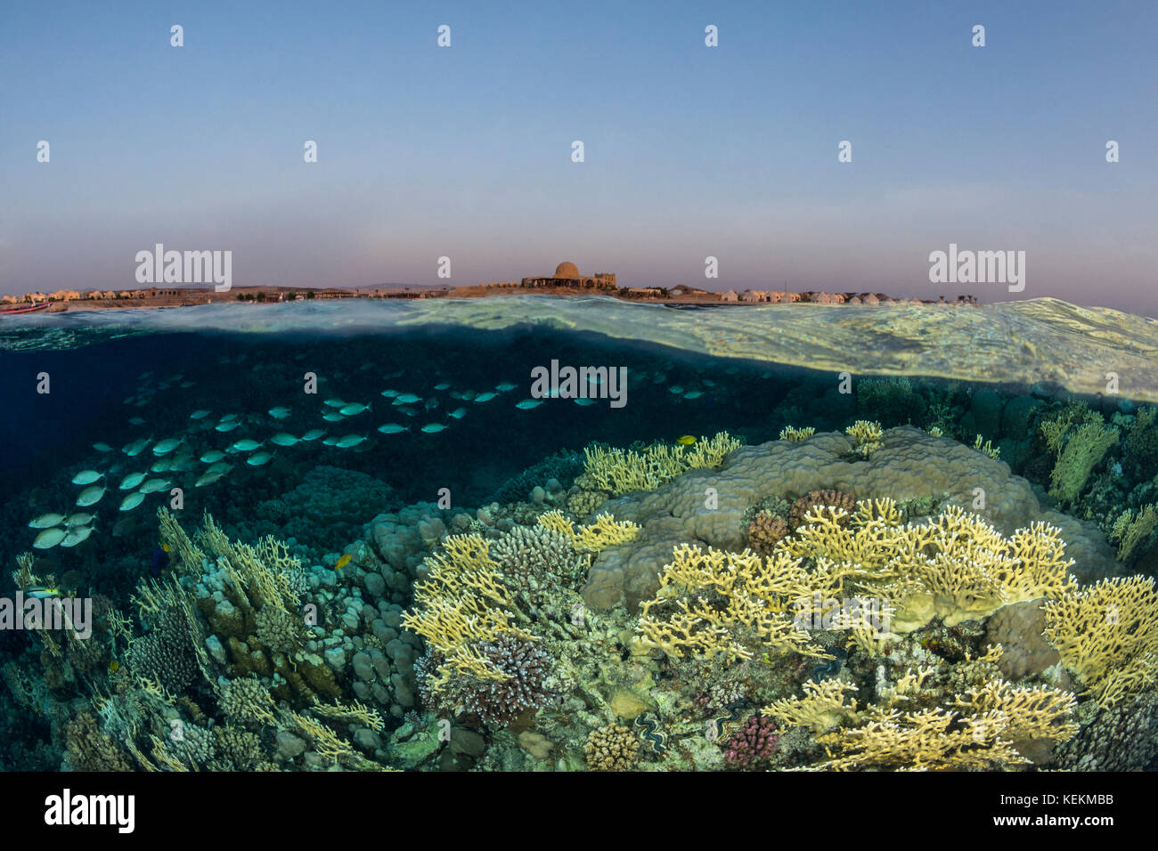 Sunrise over Coral Reef, Marsa Alam, Red Sea, Egypt Stock Photo - Alamy