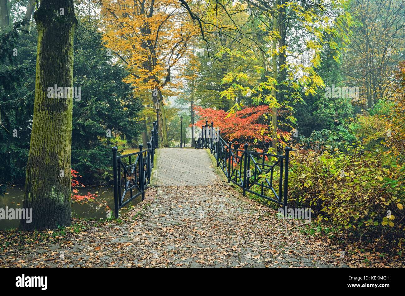 Colorful autumn landscape. Beautiful bridge in a city park Stock Photo ...