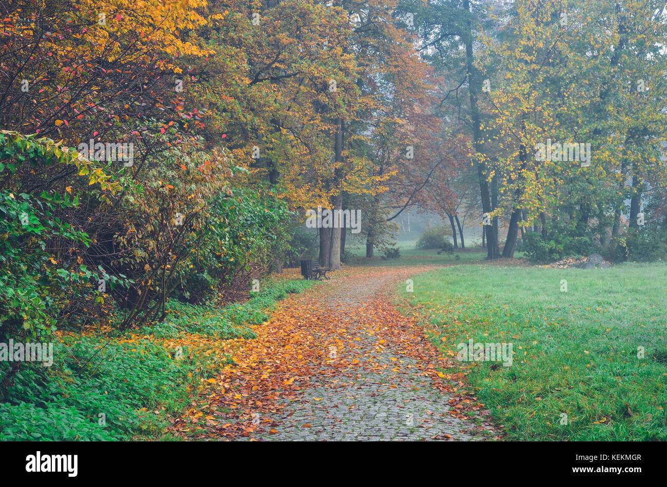 Beautiful autumn nature. Walkway with autumn colored leaves in the park ...