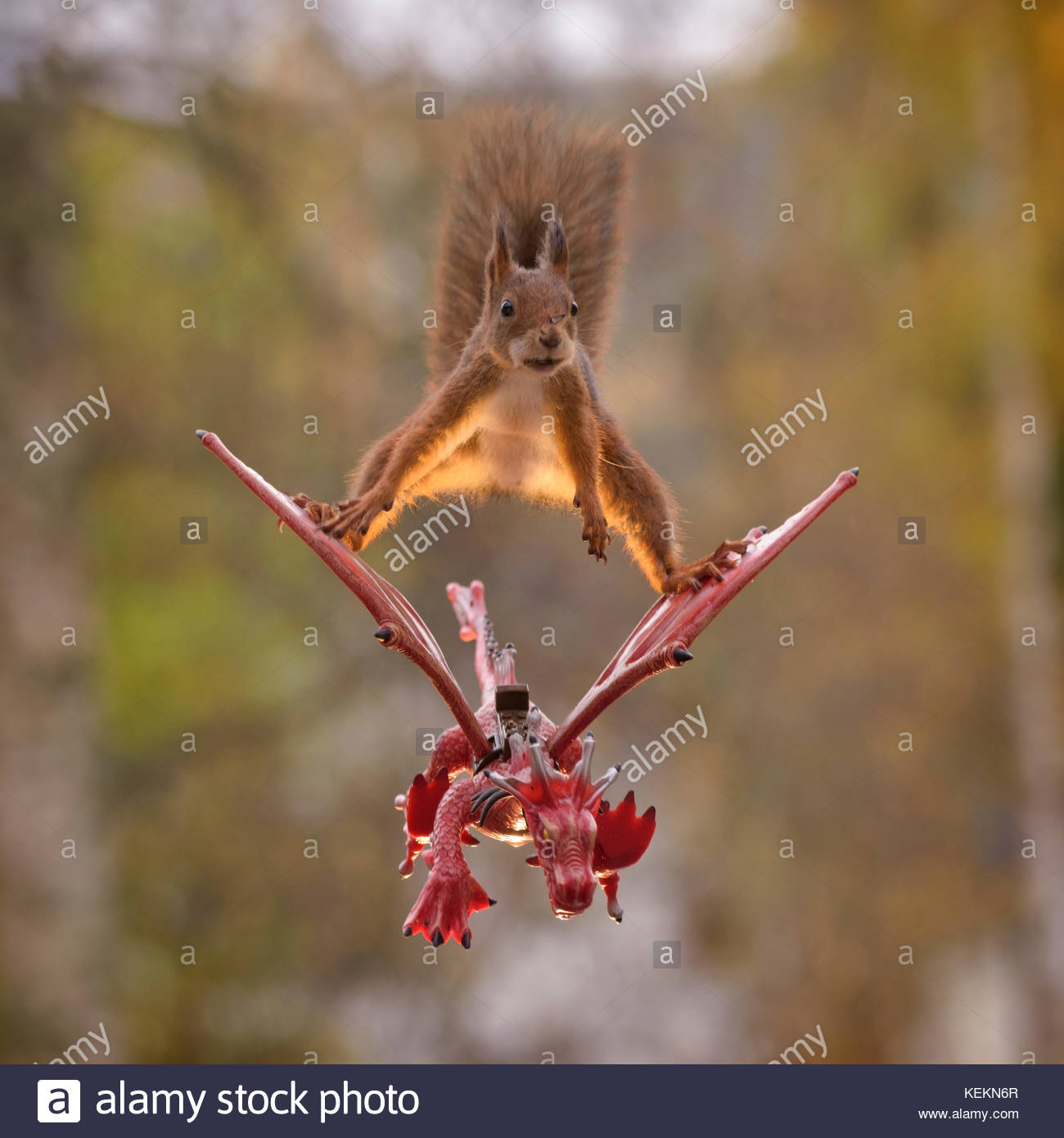 Game Of Thrones Dragon Stock Photos & Game Of Thrones Dragon Stock ...