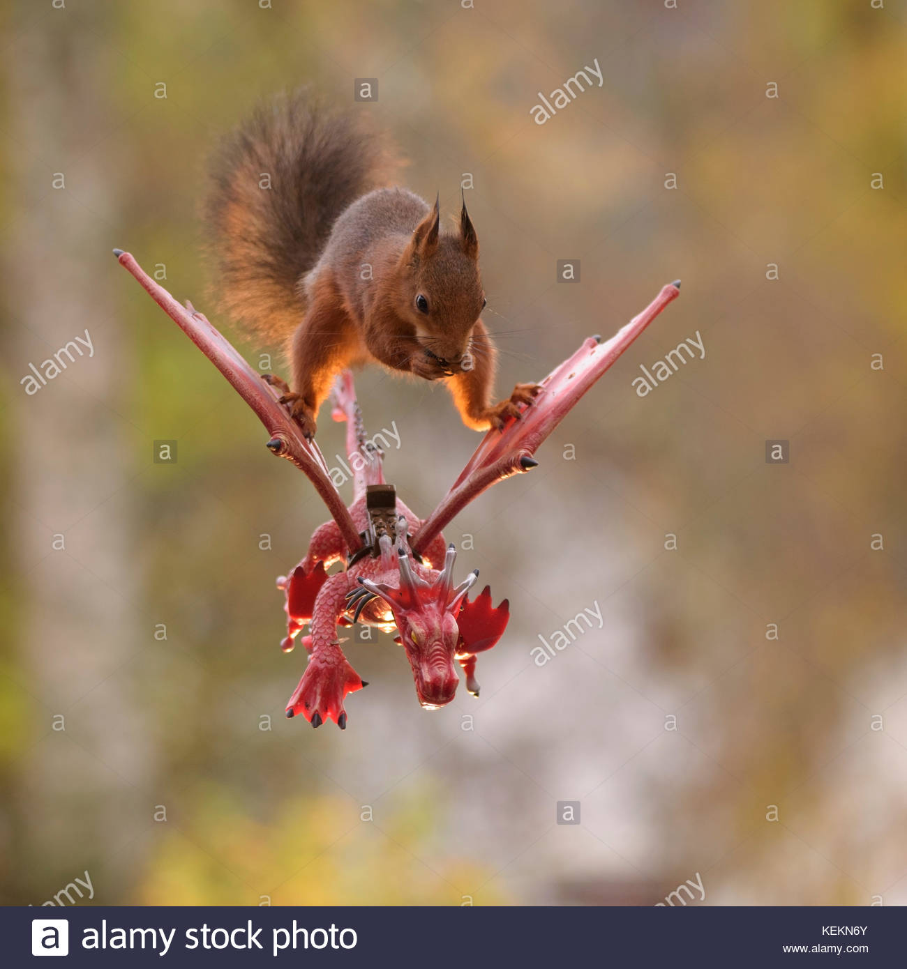 Game Of Thrones Dragon Stock Photos & Game Of Thrones Dragon Stock ...
