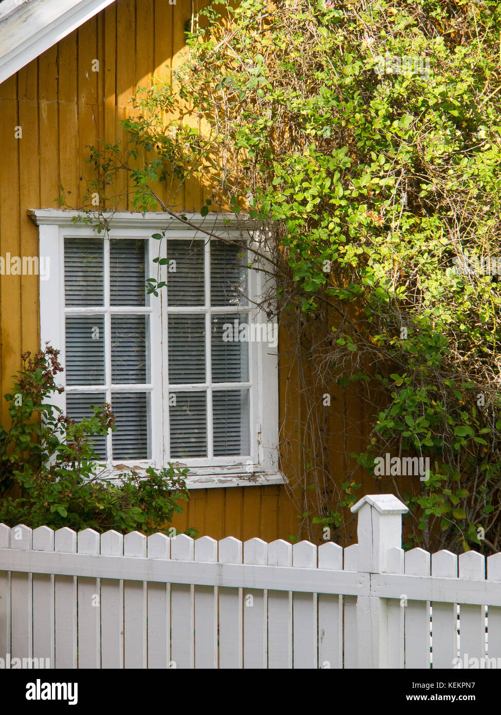 Molde in norway Stock Photo - Alamy