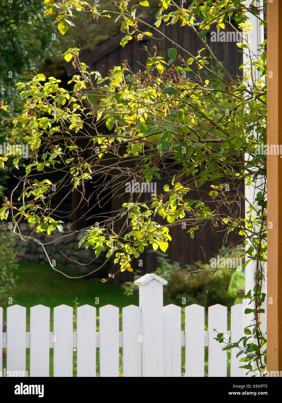 Molde in norway Stock Photo - Alamy