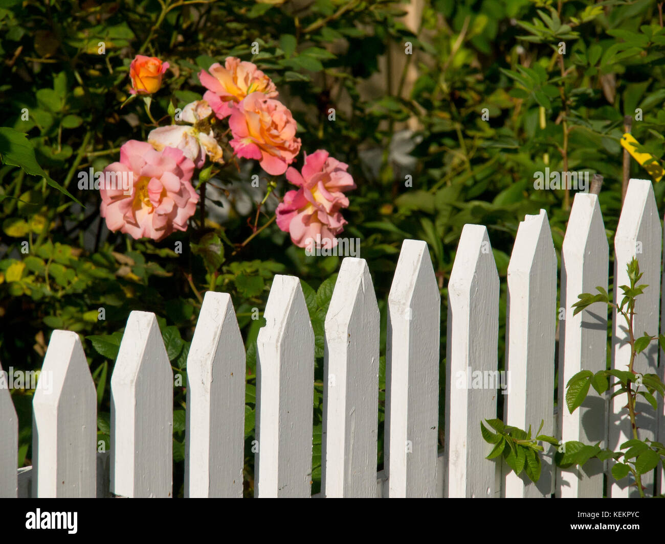 Molde in norway Stock Photo - Alamy