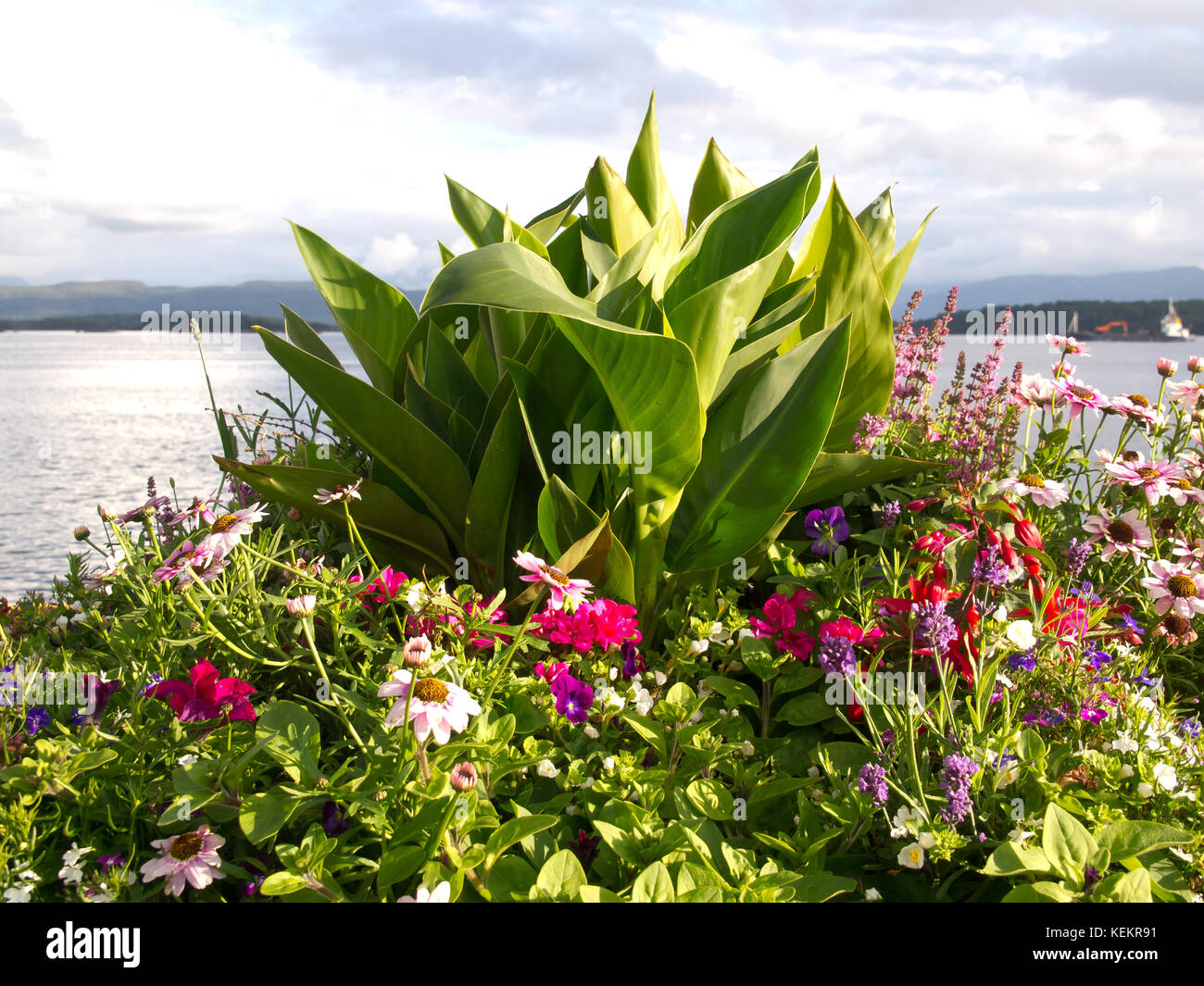 Molde in norway Stock Photo - Alamy