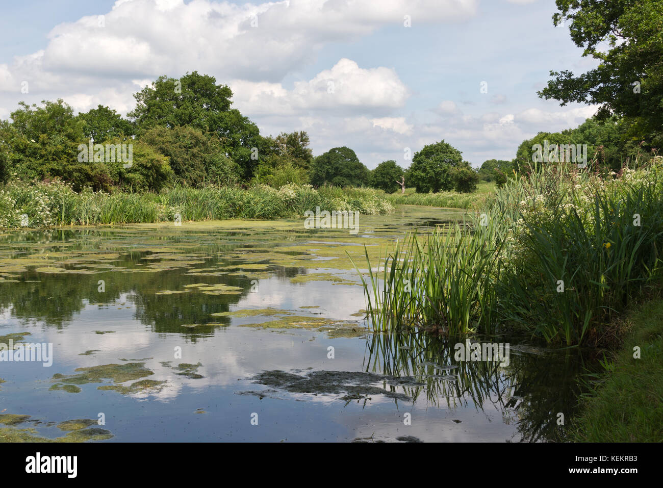 a scenic landscape summertime picture looking along the Grand Western ...