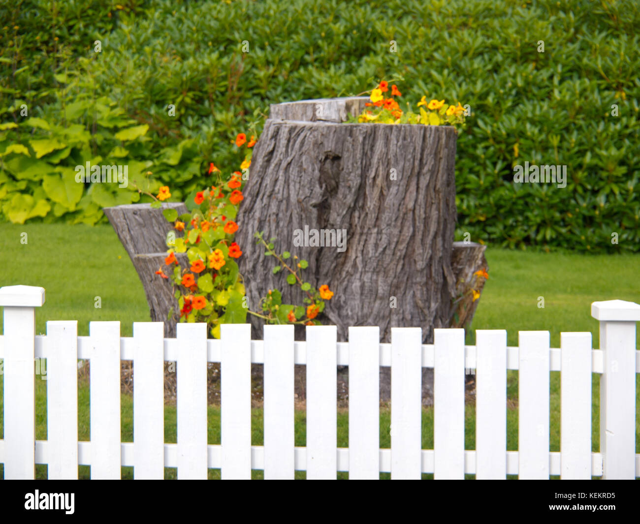 Molde in norway Stock Photo - Alamy