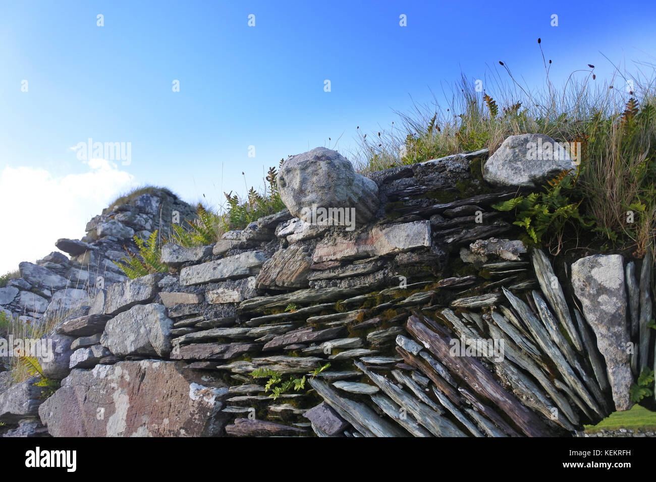 The Snakes Head, Kilcatherine Church, Eyries, County Cork, Ireland ...