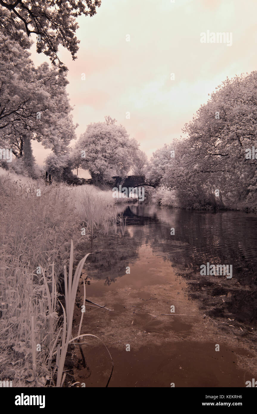 infrared image of Crownhill Bridge and the Grand Western Canal ...