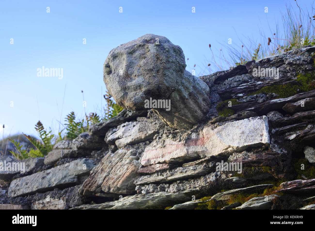 The Snakes Head, Kilcatherine Church, Eyries, County Cork, Ireland ...