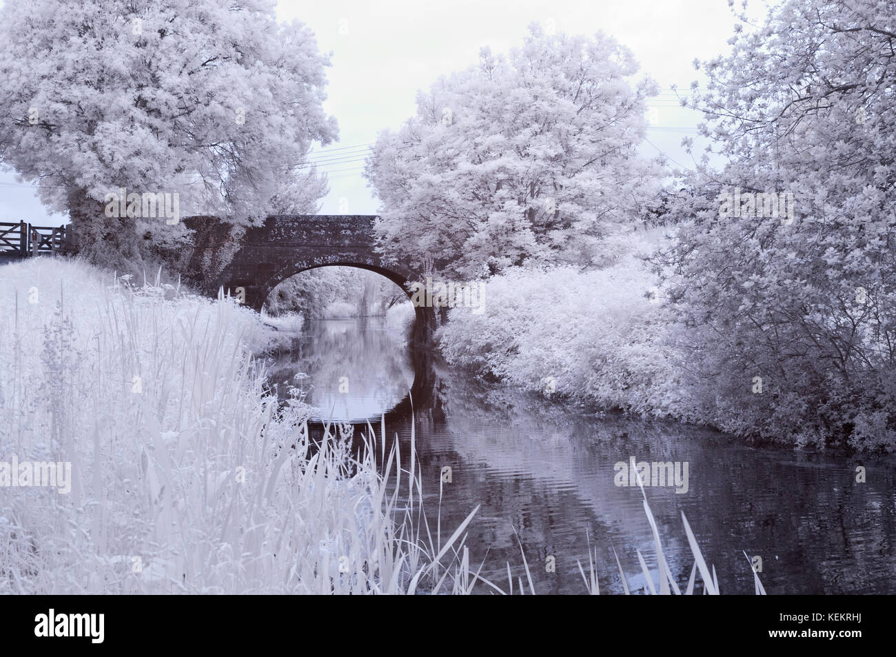infrared image of Crownhill Bridge and the Grand Western Canal ...