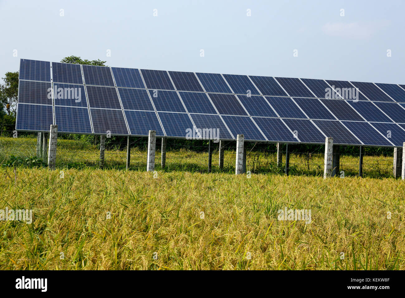Bangladesh solar irrigation hi-res stock photography and images - Alamy