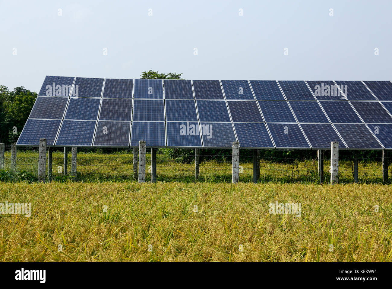 Solar power plant for irrigation at a paddy field in Kustia, Bangladesh ...