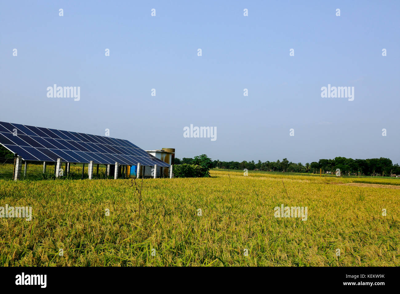 Solar power plant for irrigation at a paddy field in Kustia, Bangladesh ...