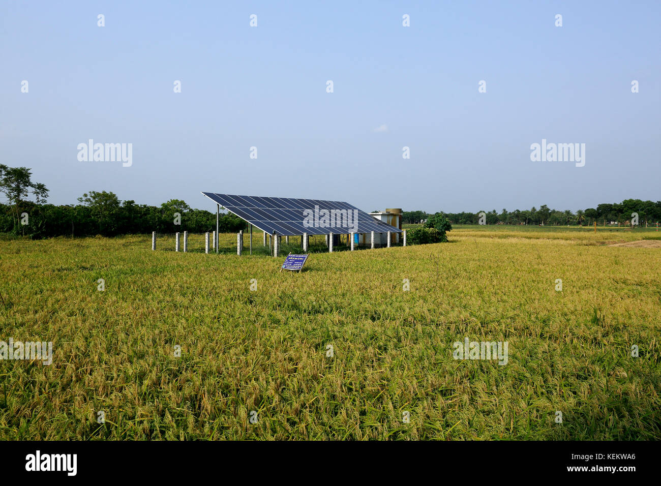 Solar power plant for irrigation at a paddy field in Kustia, Bangladesh ...