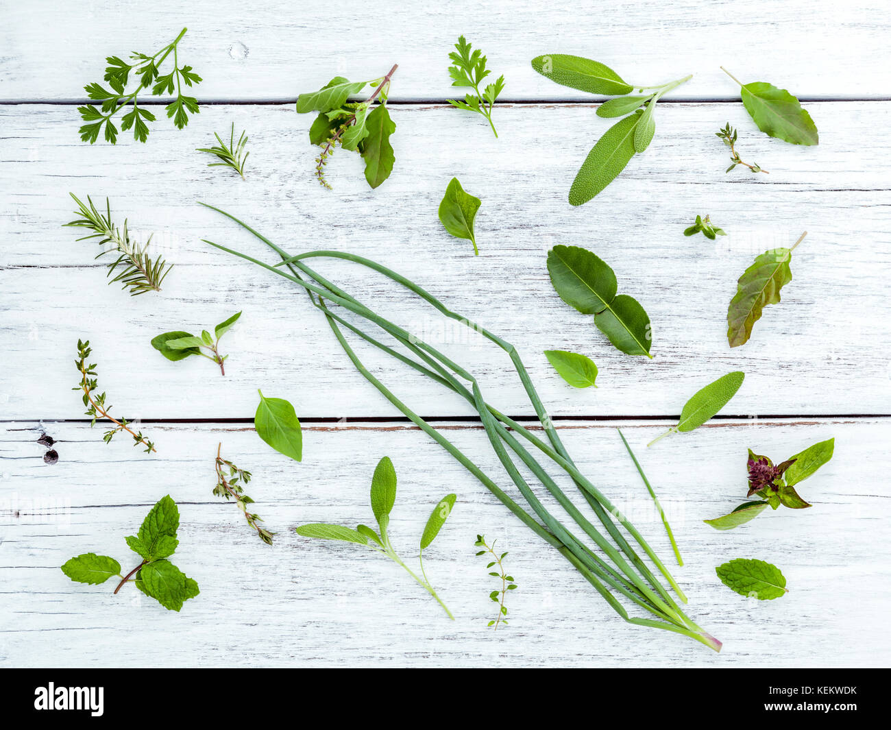 Various fresh herbs from the garden holy basil flower, basil flower ...