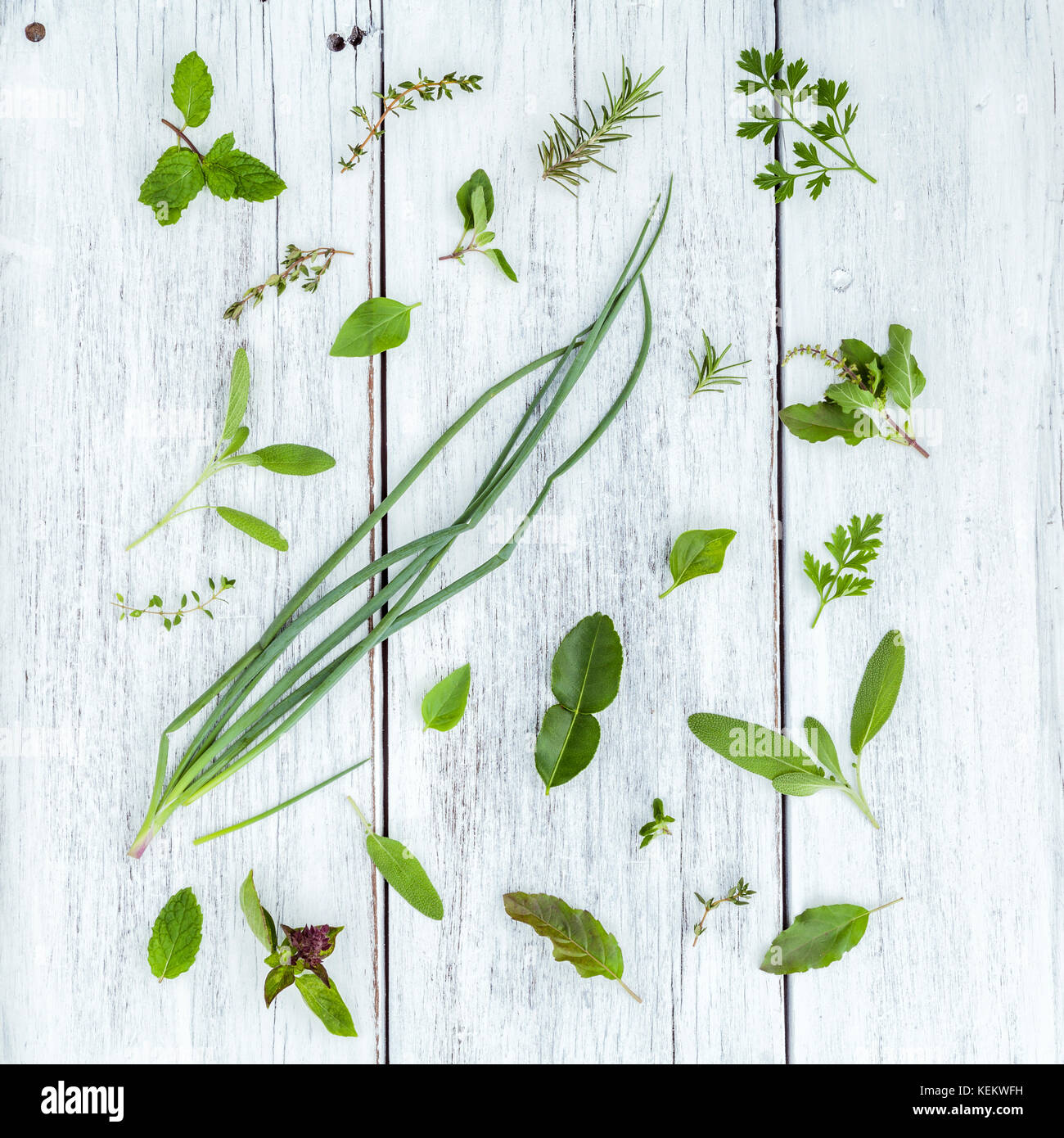 Various fresh herbs from the garden holy basil flower, basil flower ...