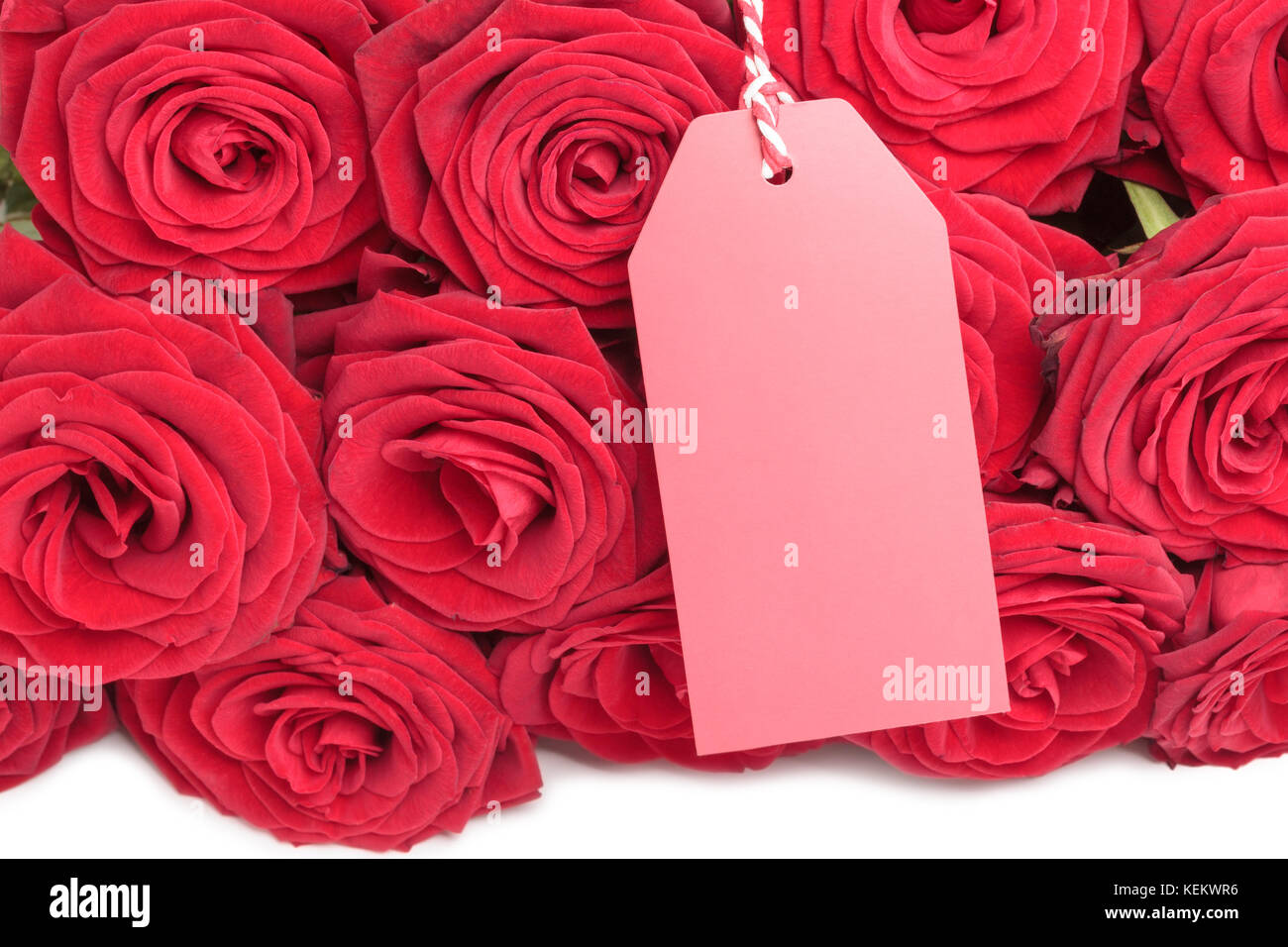 Closeup of blank tag with roses Stock Photo - Alamy