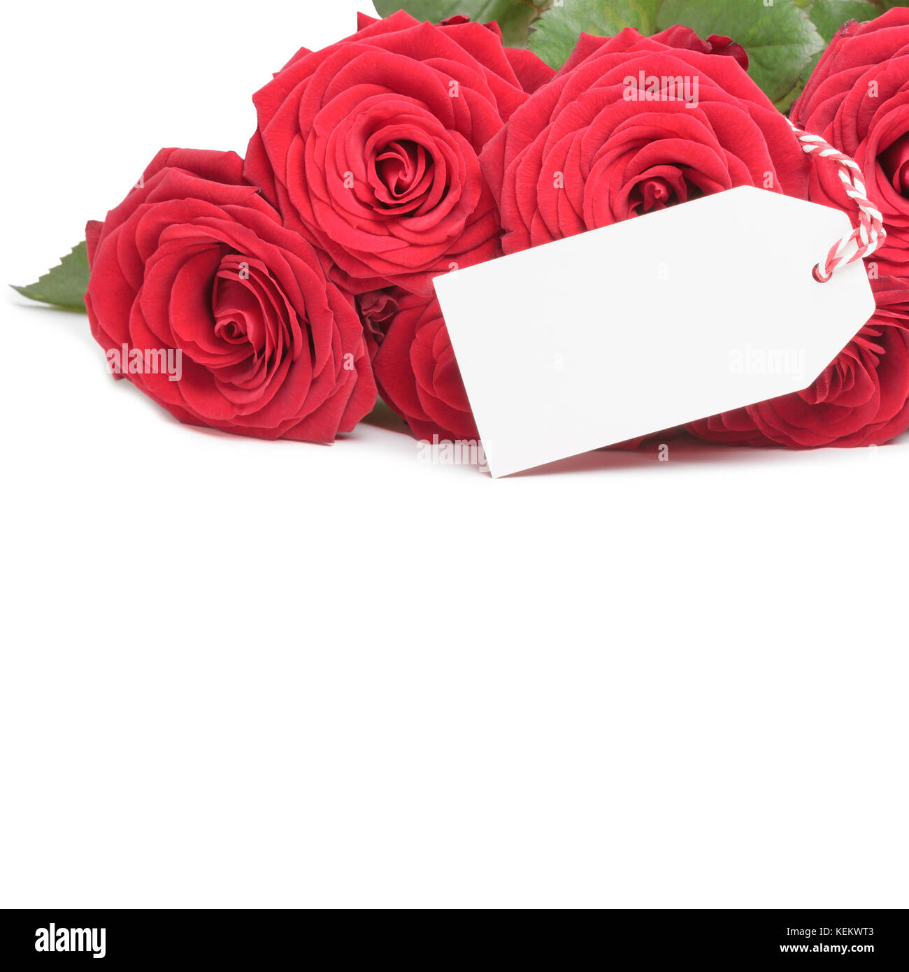 Card with roses Stock Photo - Alamy