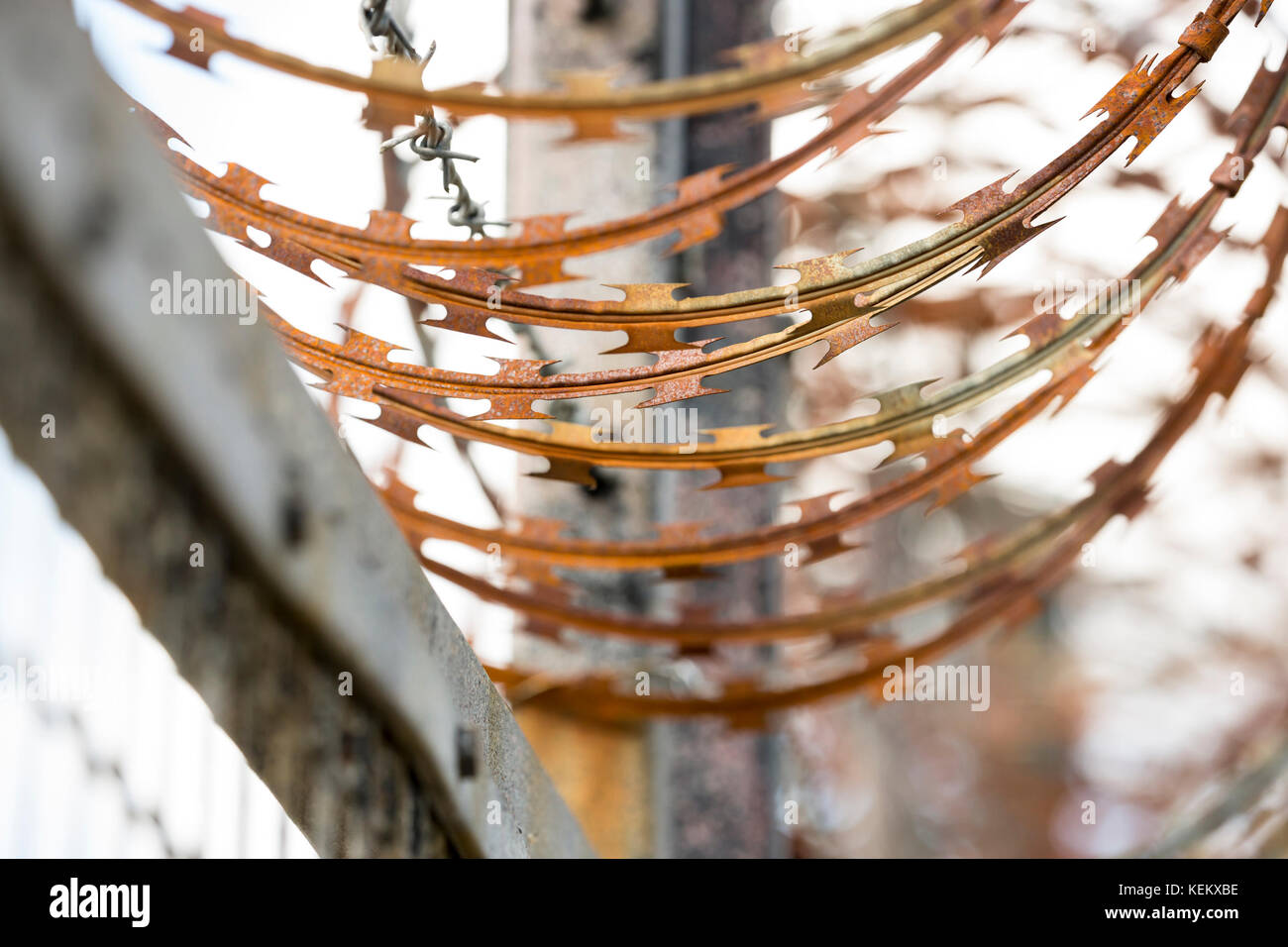razor wire security fence Stock Photo - Alamy