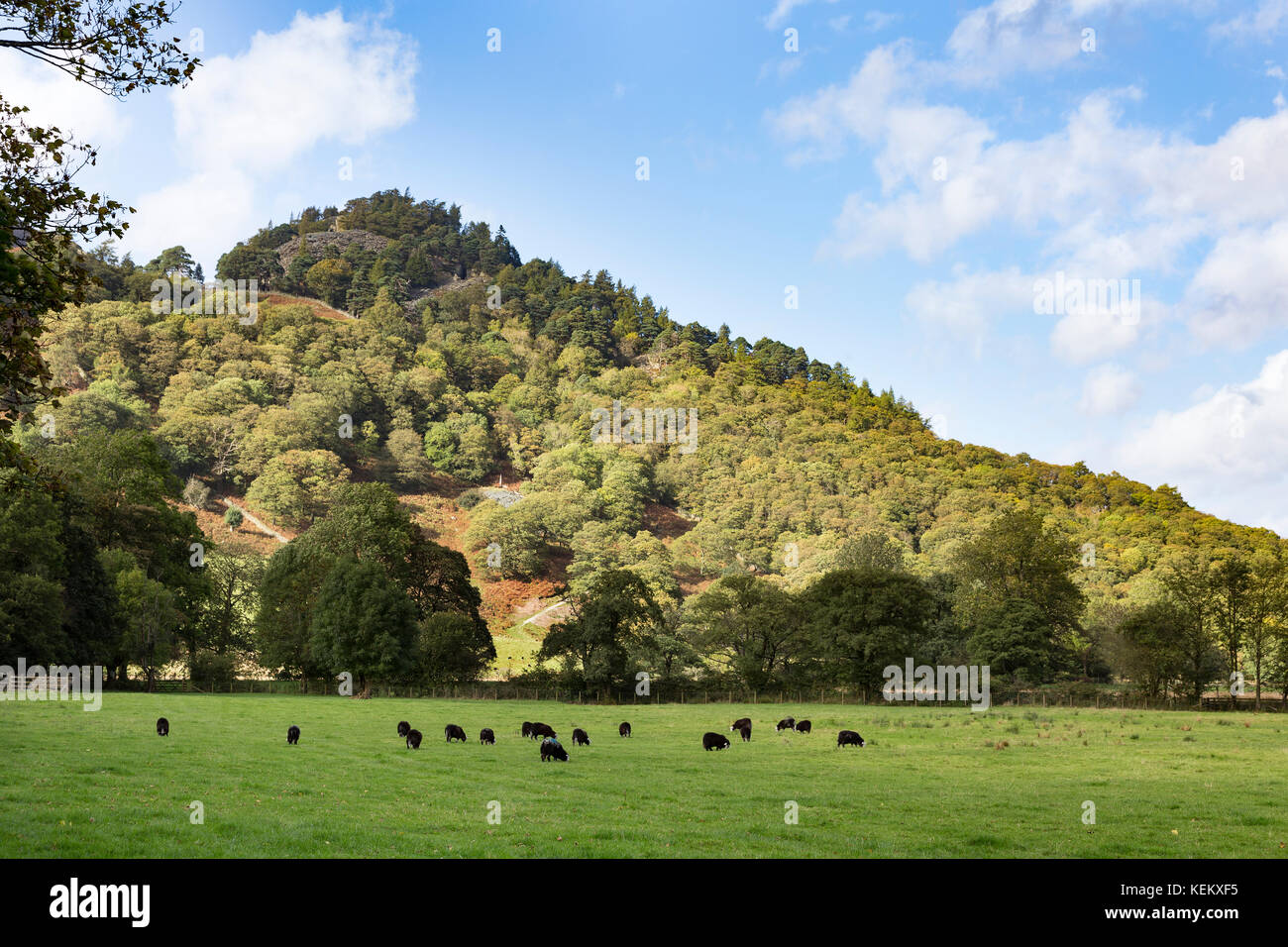 Castle how hillfort lake district hi-res stock photography and images ...