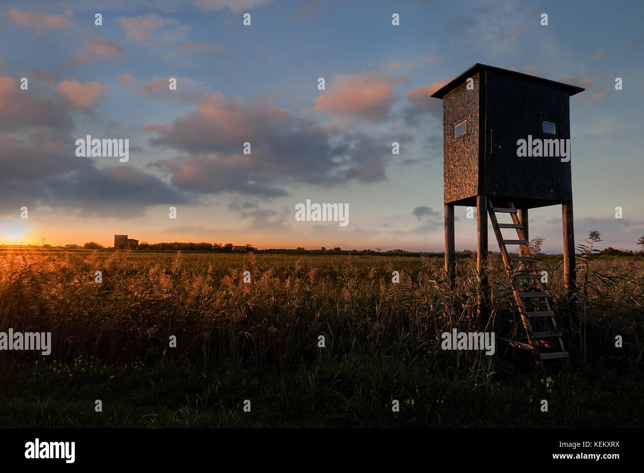 Hunting watchtower hi-res stock photography and images - Alamy