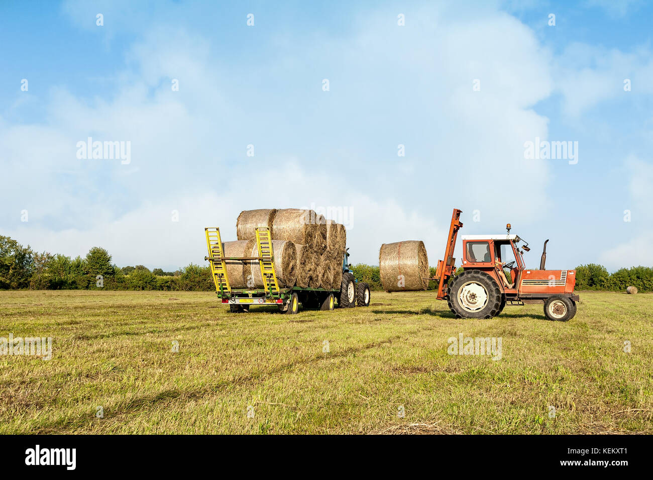 Agricultural scene. Tractor collecting hay bales in field and loading ...