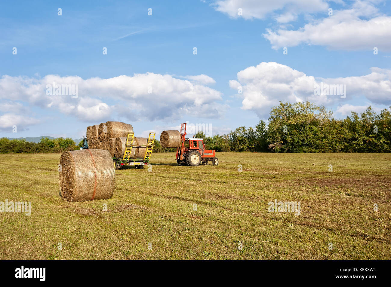 Agricultural scene. Tractor collecting hay bales in field and loading ...