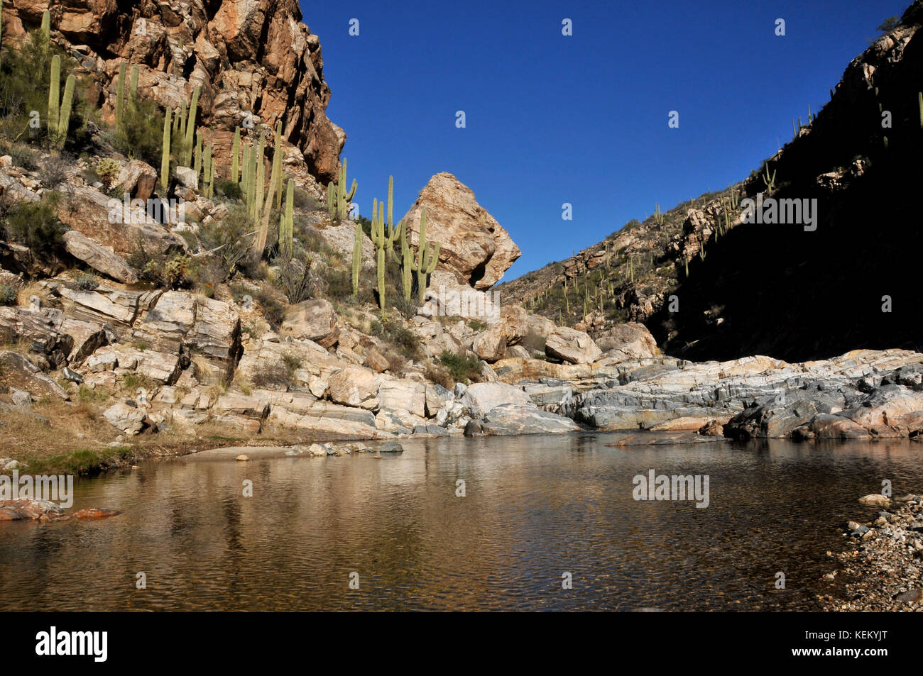 Saguaro cactus line the lower falls of Tanque Verde Falls at Tanque ...
