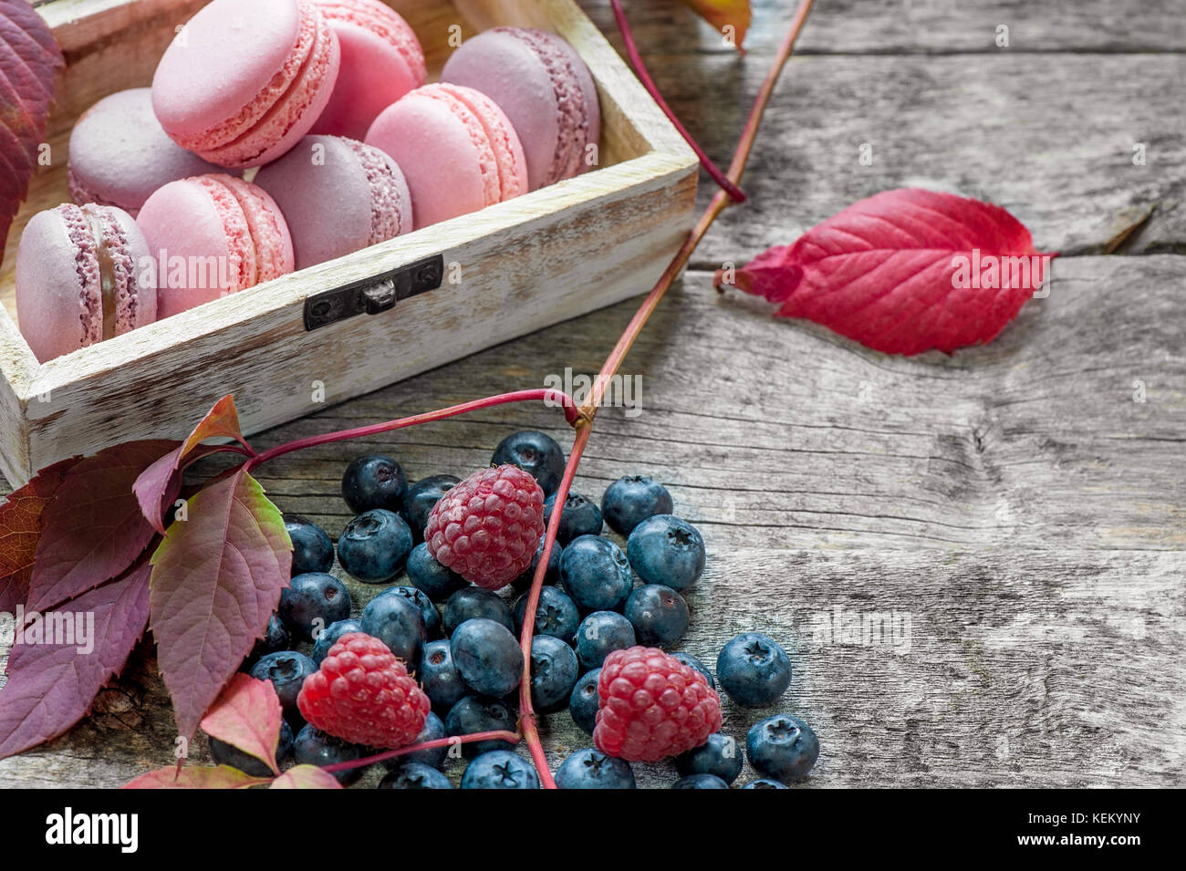 Pink and white Macaroni with raspberries and a beautiful rose flower ...
