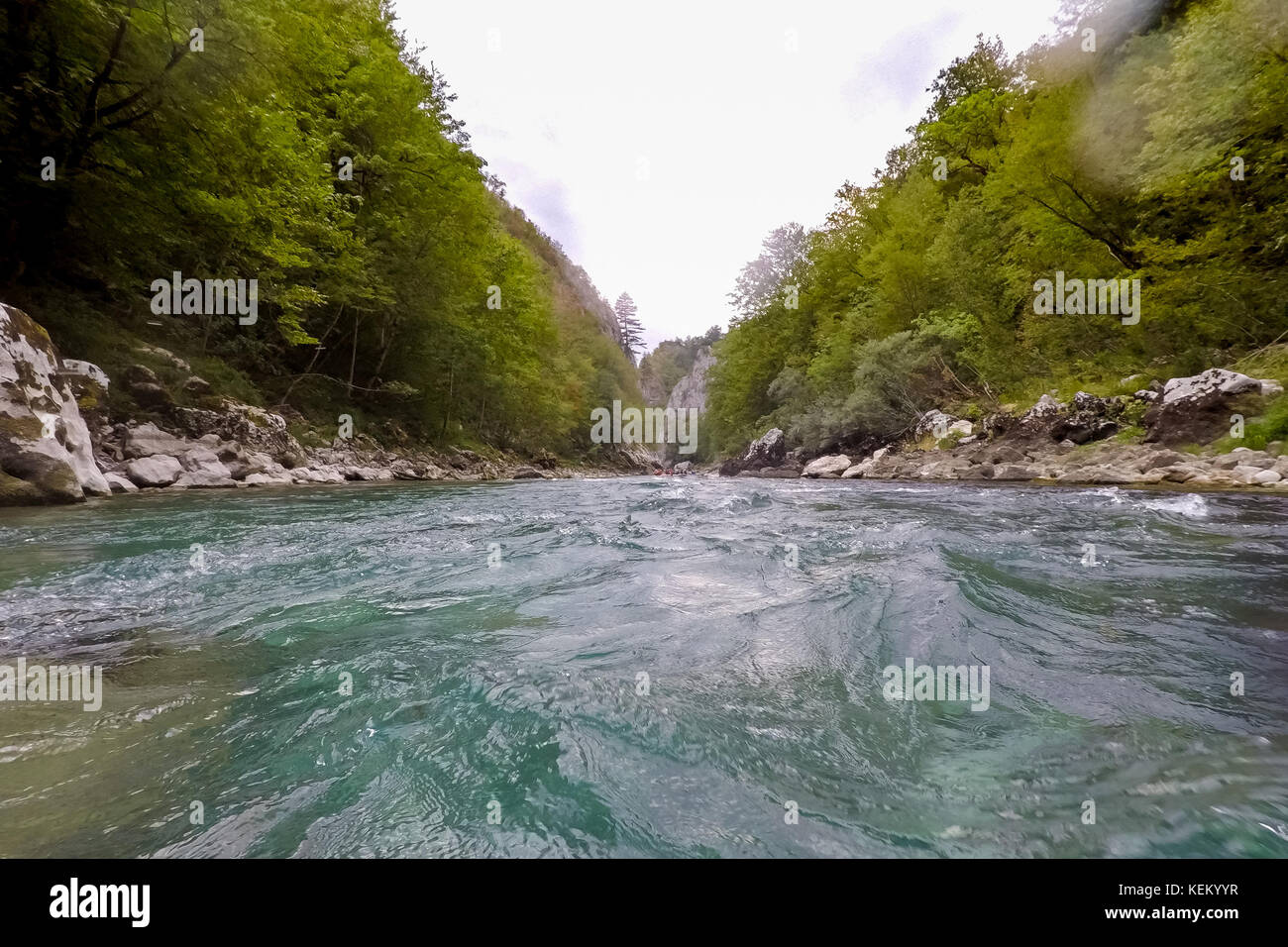 mountain river Tara in Montenegro Stock Photo - Alamy