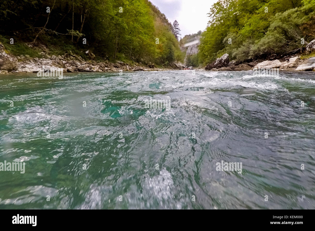 mountain river Tara in Montenegro Stock Photo - Alamy