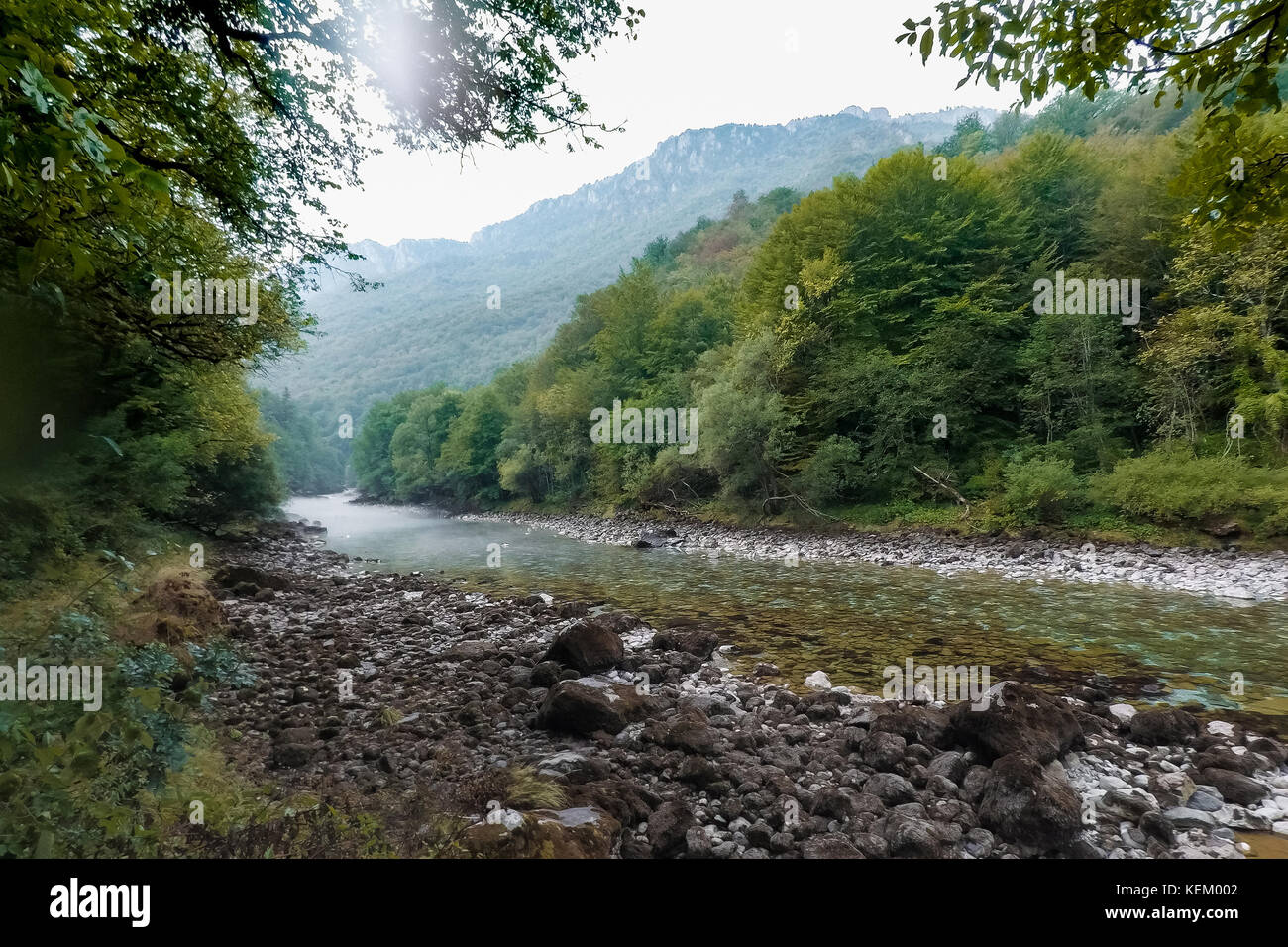 mountain river Tara in Montenegro Stock Photo - Alamy