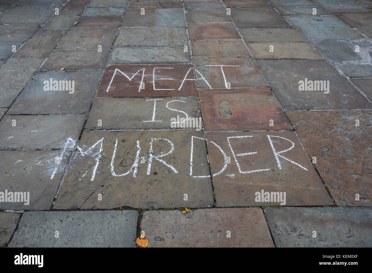 Meat is murder graffiti Stock Photo - Alamy