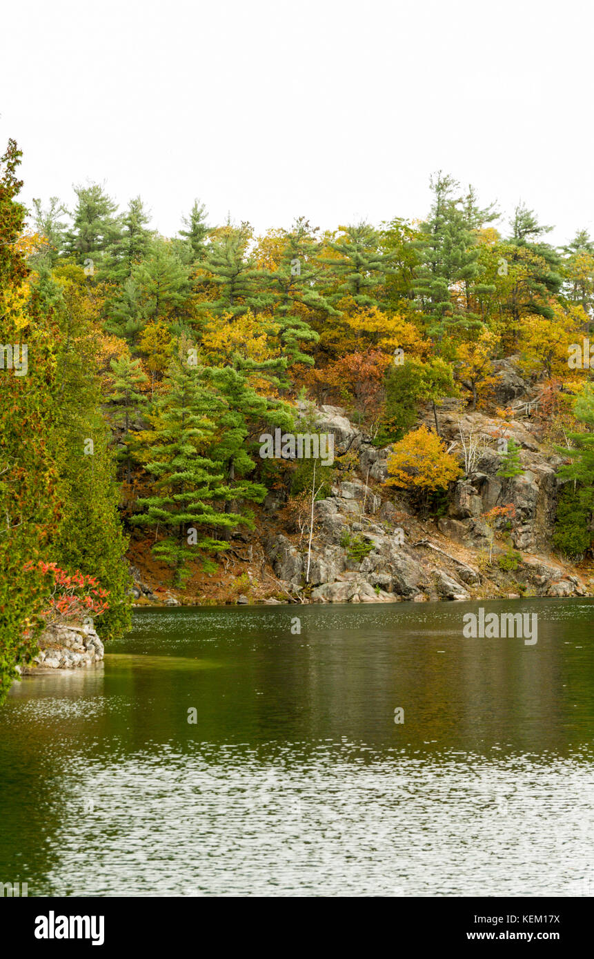 Pink Lake is meromictic, meaning that its upper and lower layers of ...