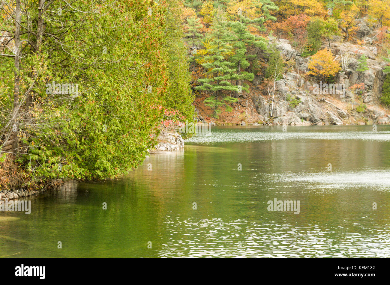 Pink Lake is meromictic, meaning that its upper and lower layers of ...