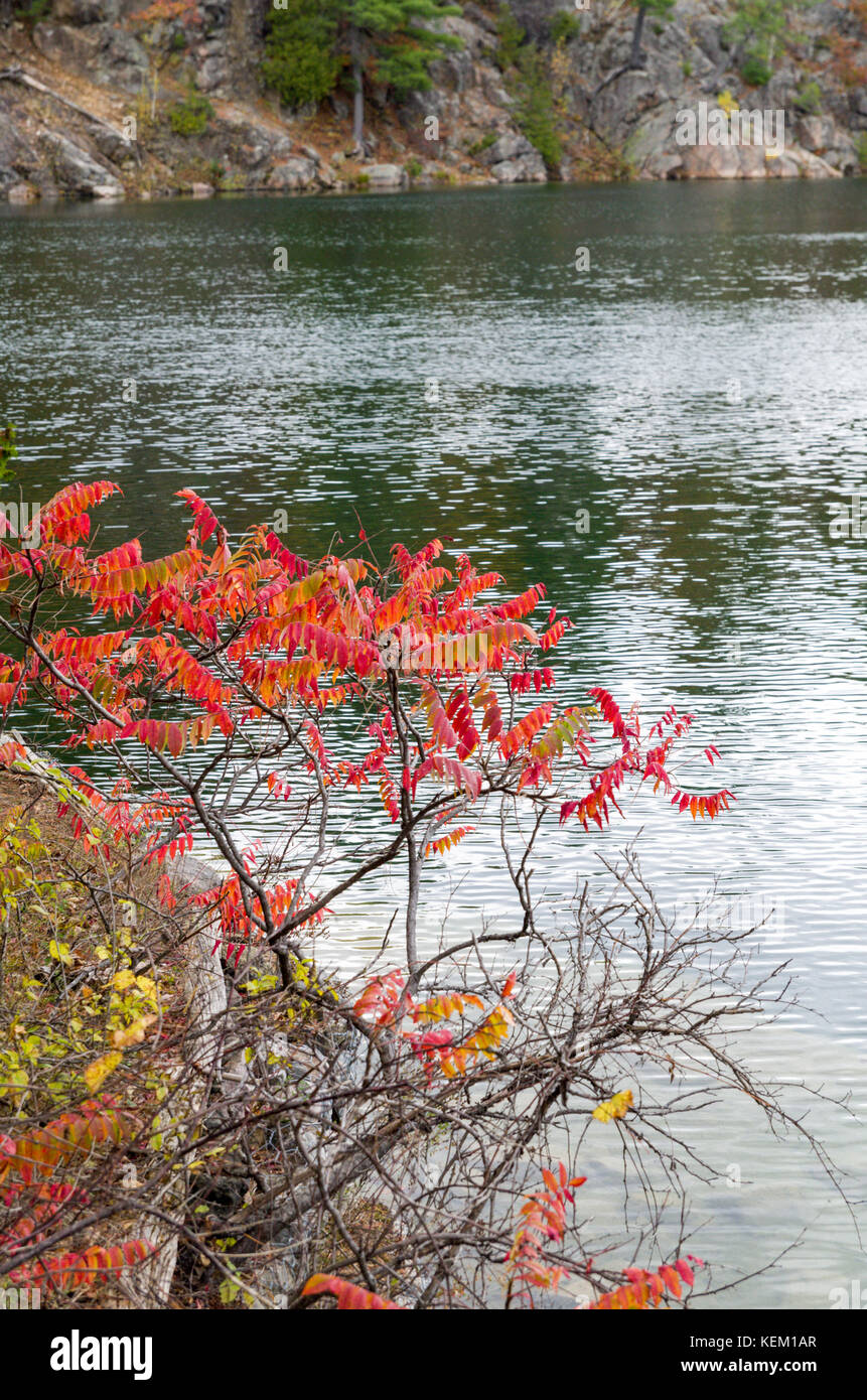 Pink Lake is meromictic, meaning that its upper and lower layers of ...