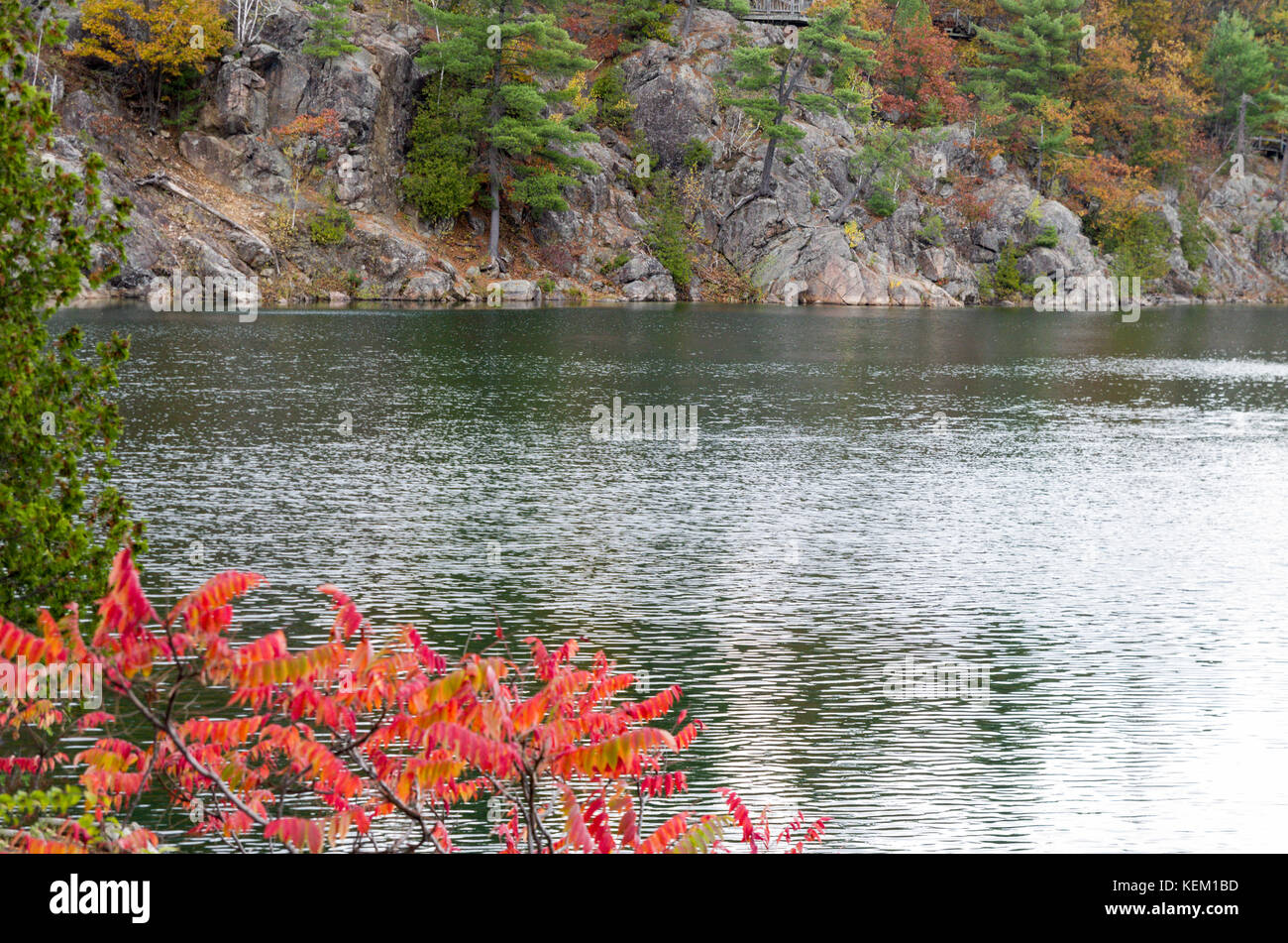 Pink Lake is meromictic, meaning that its upper and lower layers of ...