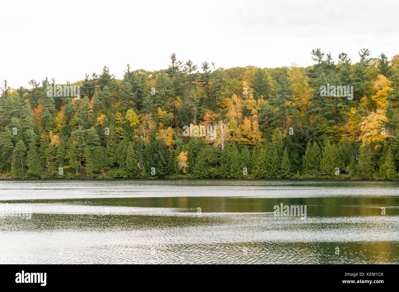 Pink Lake is meromictic, meaning that its upper and lower layers of ...