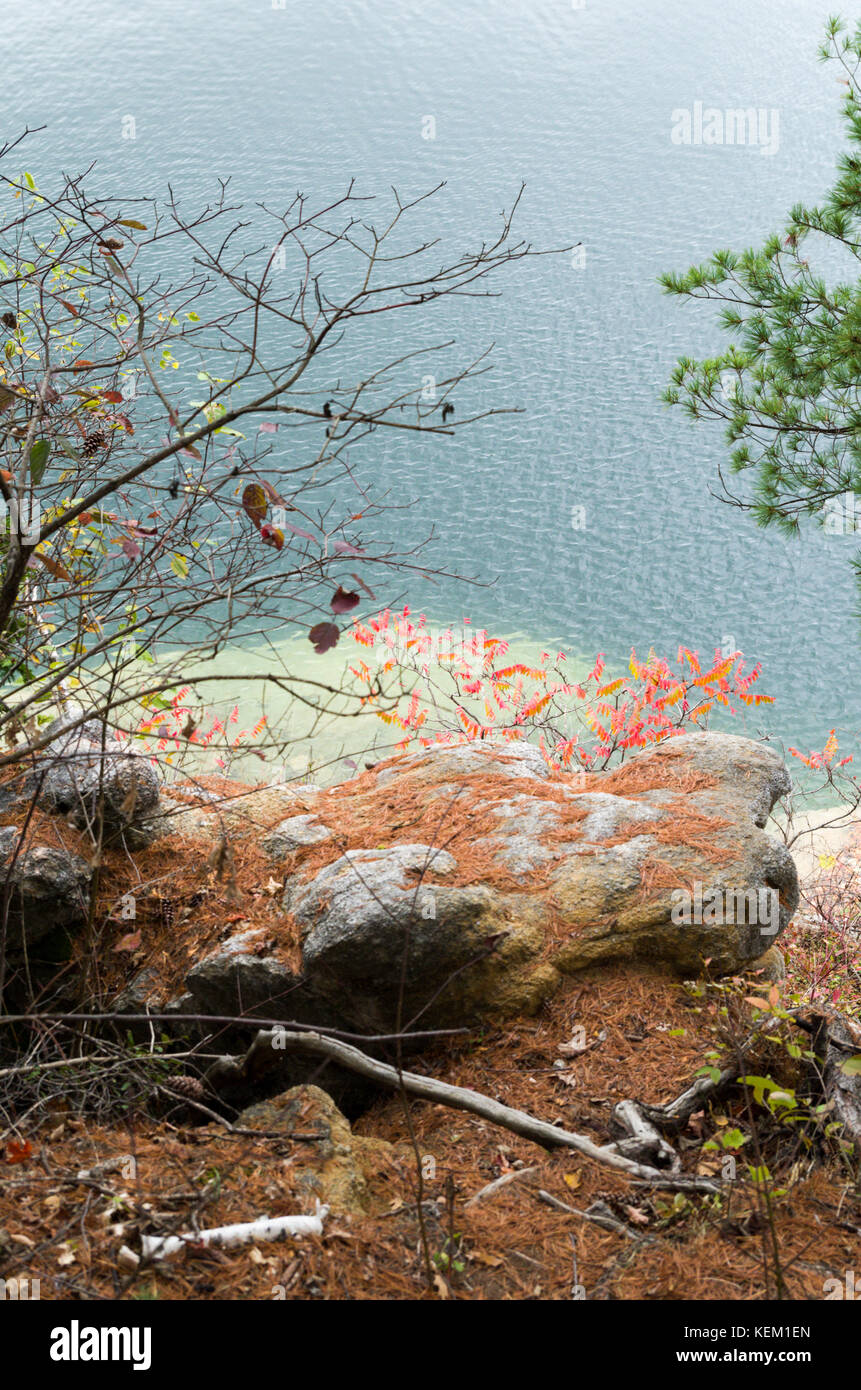 Pink Lake is meromictic, meaning that its upper and lower layers of ...