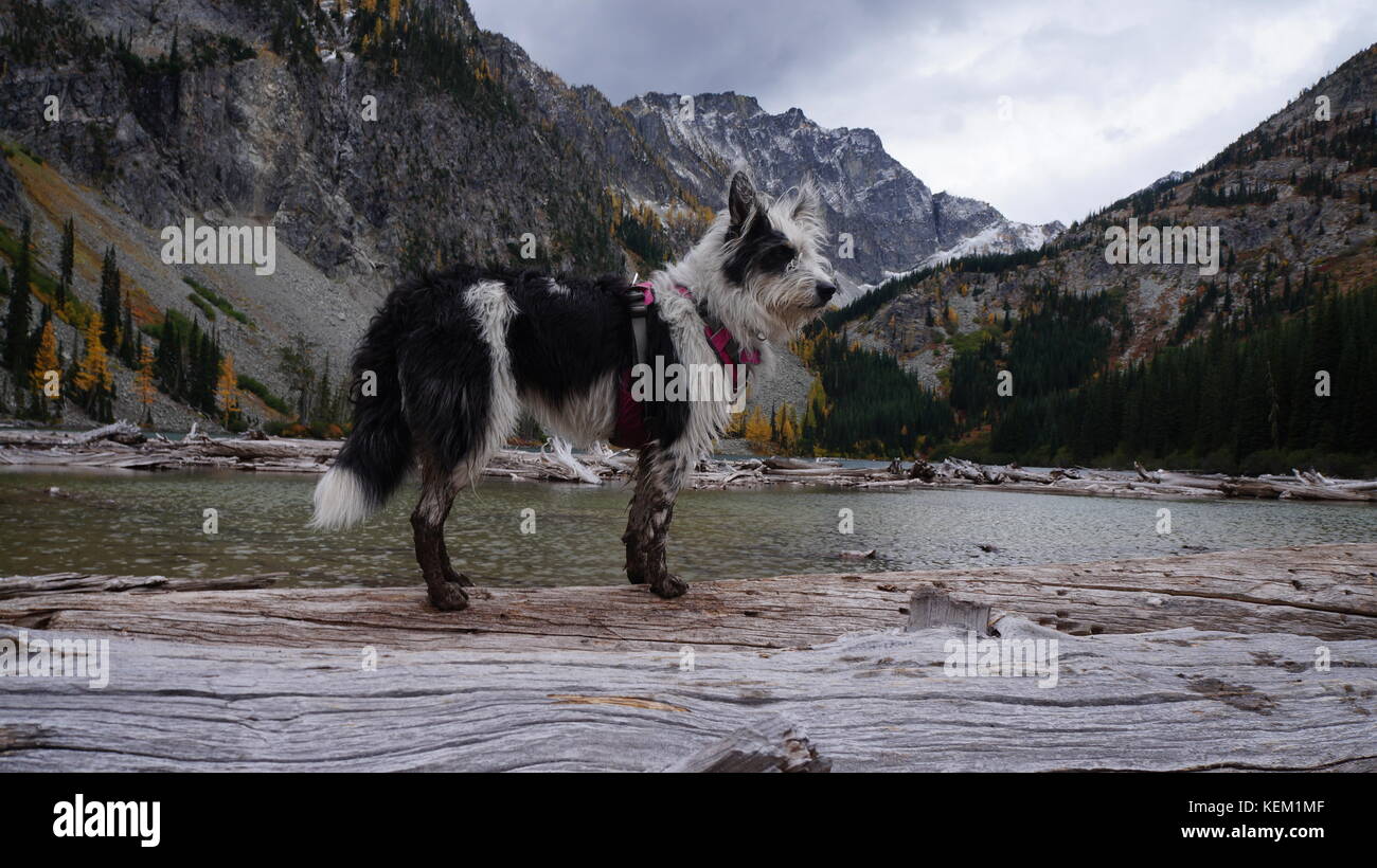 Exploring Washington State, The Great Pacific Northwest Stock Photo - Alamy