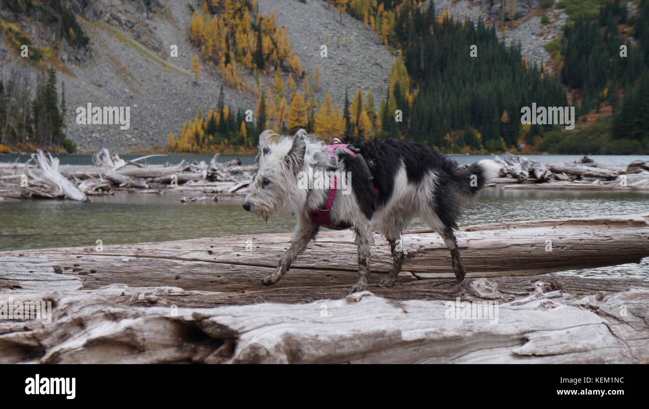 Exploring Washington State, The Great Pacific Northwest Stock Photo - Alamy