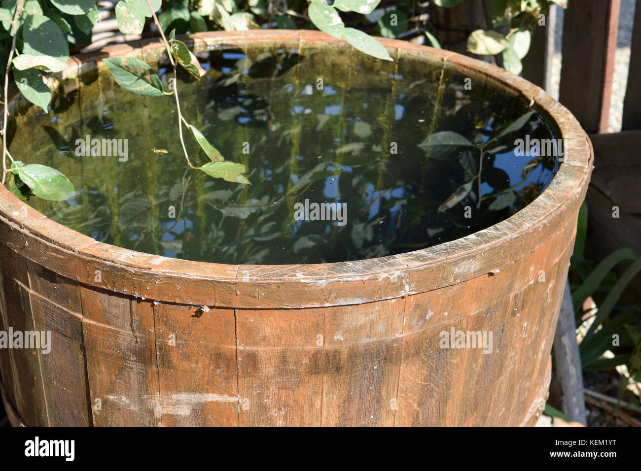 Wooden barrel filled with water. Storage in open water outdoors ...
