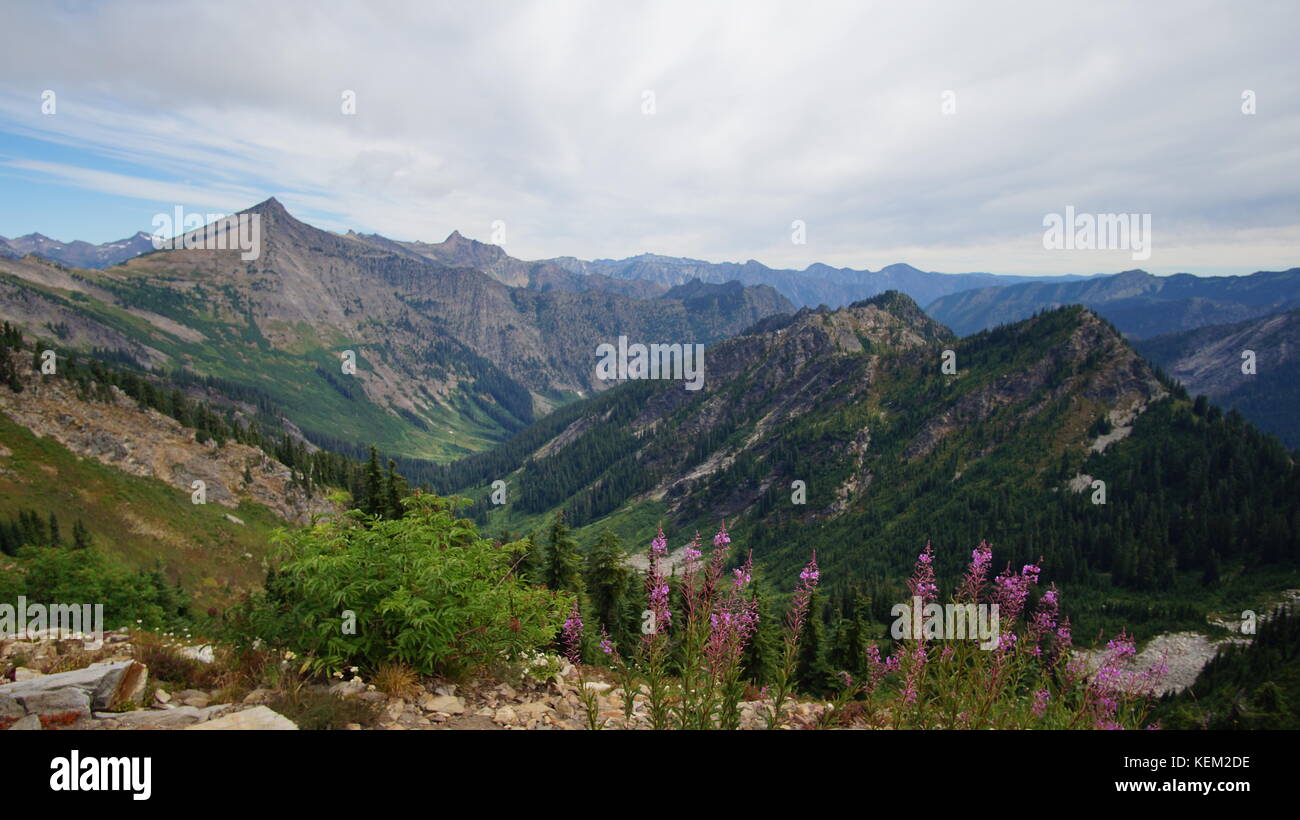 Exploring Washington State, the Great Pacific Northwest Stock Photo - Alamy