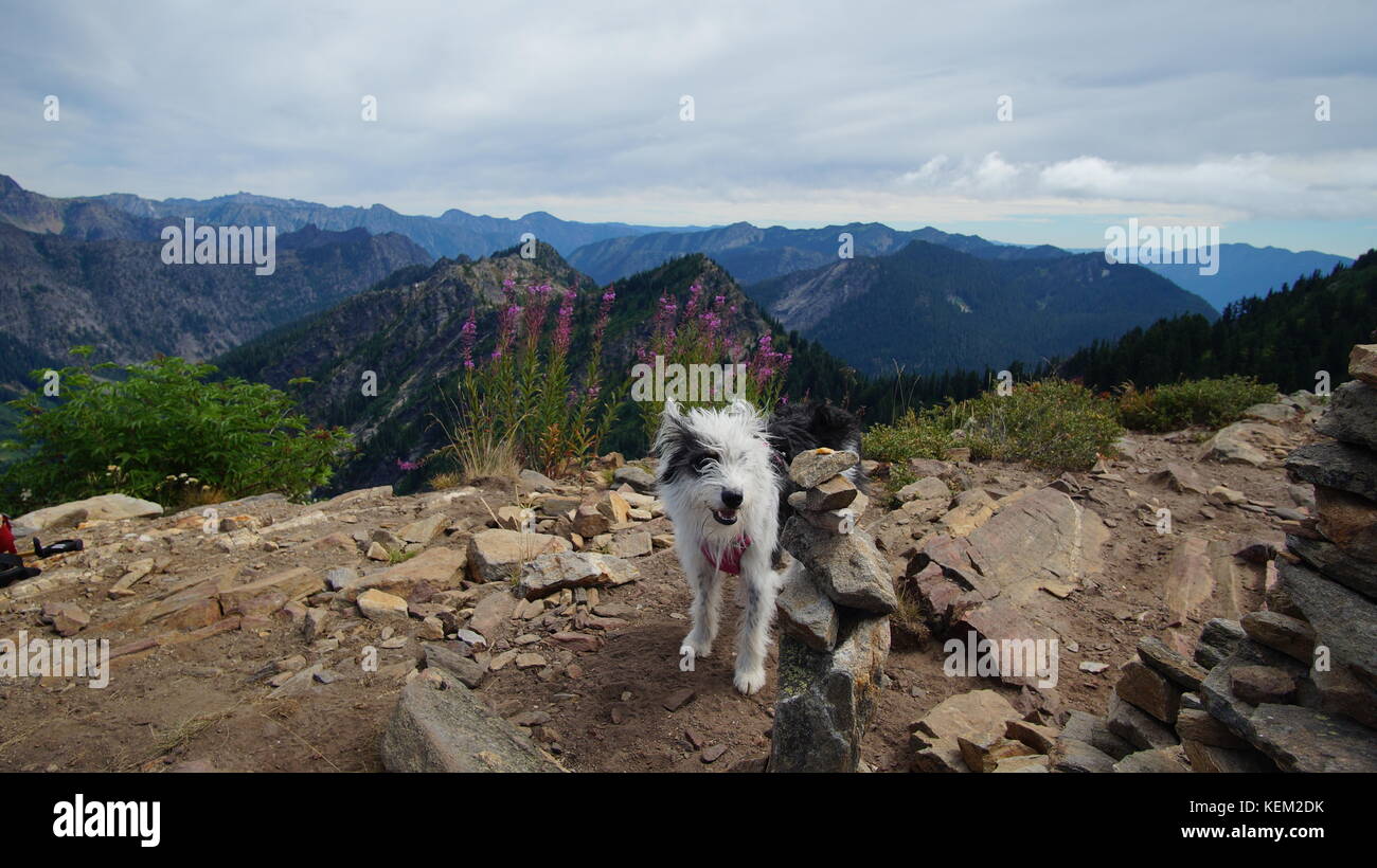 Exploring Washington State, the Great Pacific Northwest Stock Photo - Alamy