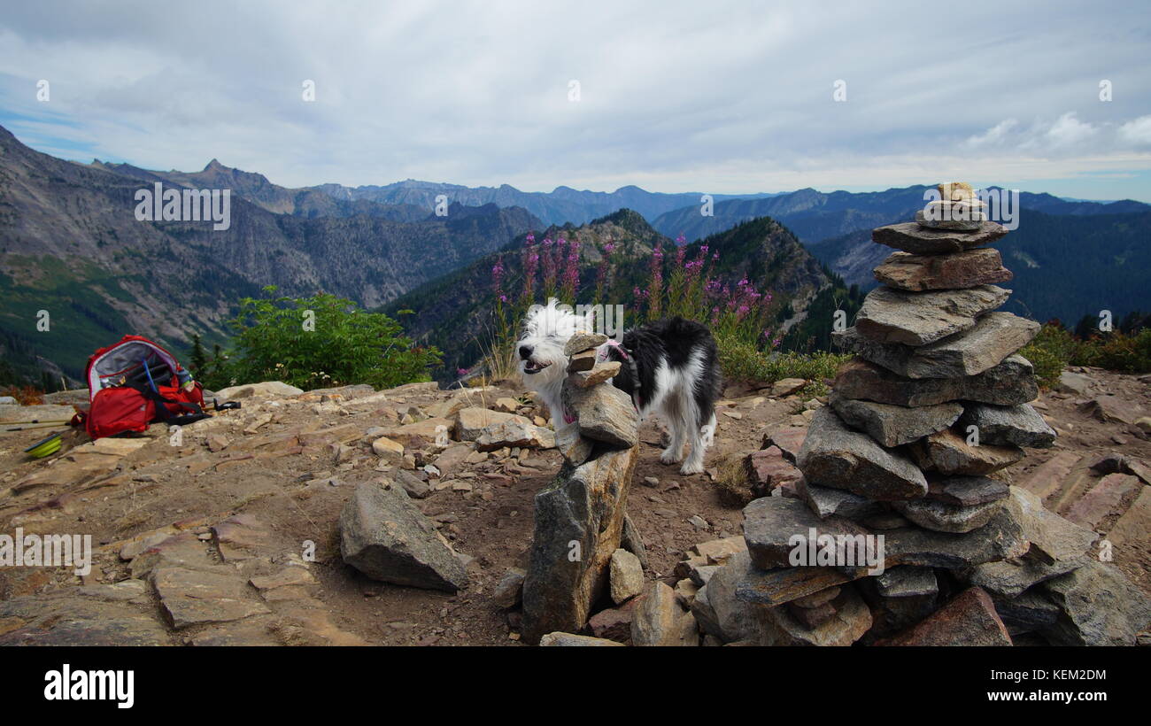 Exploring Washington State, the Great Pacific Northwest Stock Photo - Alamy