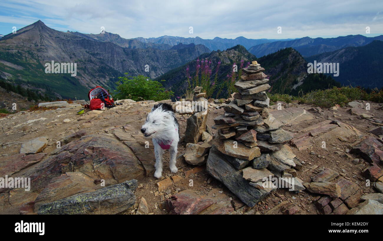 Exploring Washington State, the Great Pacific Northwest Stock Photo - Alamy
