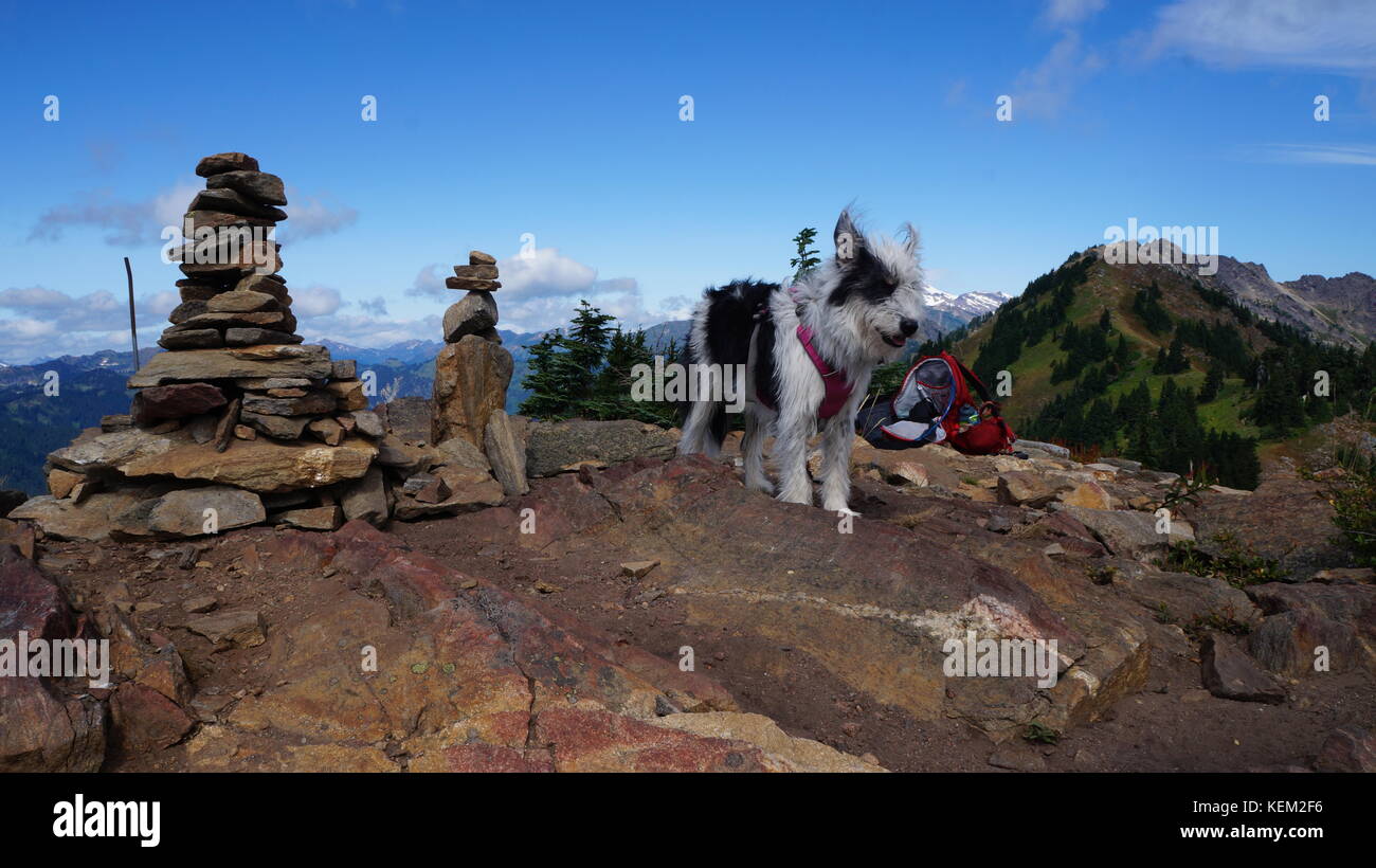 Exploring Washington State, the Great Pacific Northwest Stock Photo - Alamy
