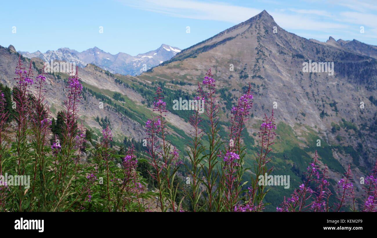 Exploring Washington State, the Great Pacific Northwest Stock Photo - Alamy