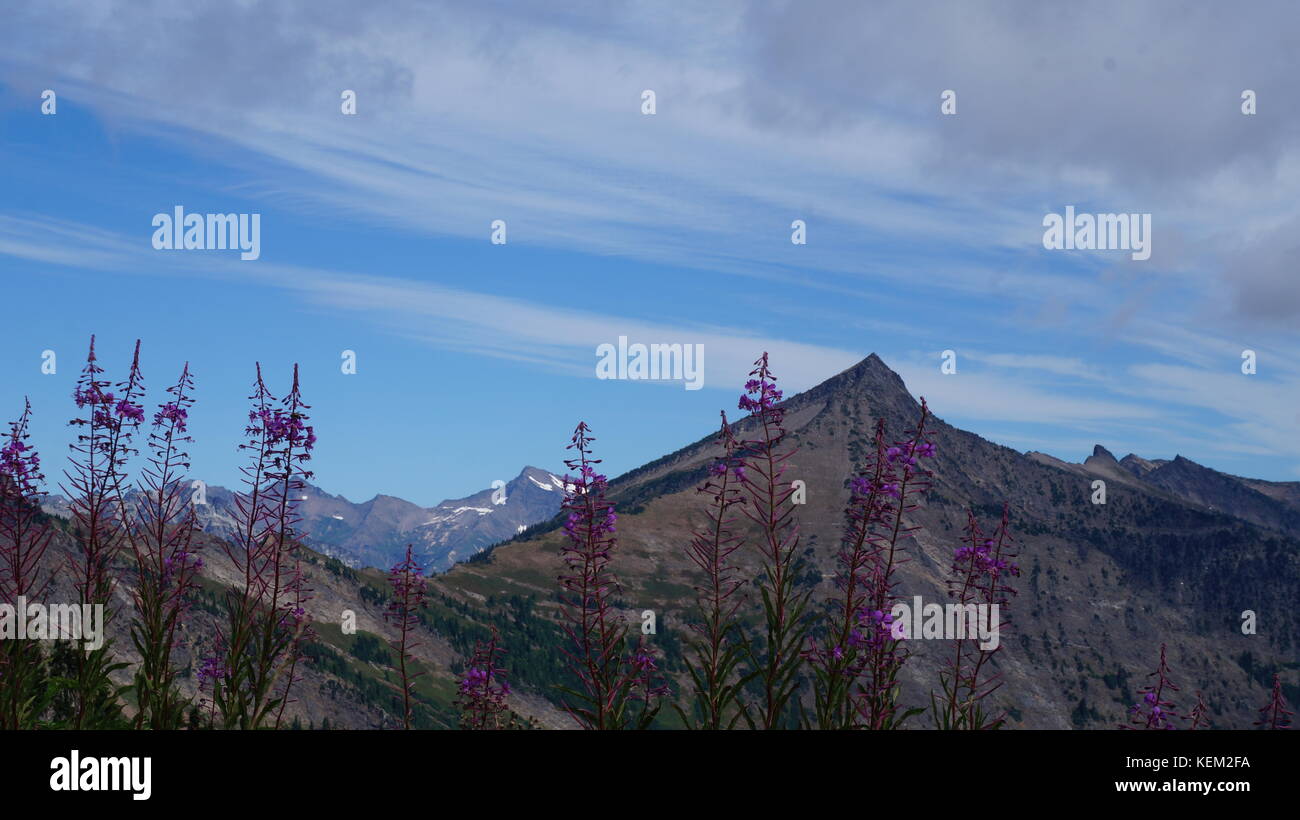 Exploring Washington State, the Great Pacific Northwest Stock Photo - Alamy